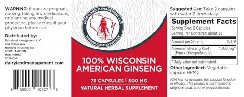 ginseng supplement for everyday wellness