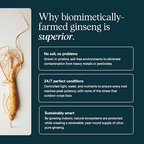 Ginseng supplement for improved concentration