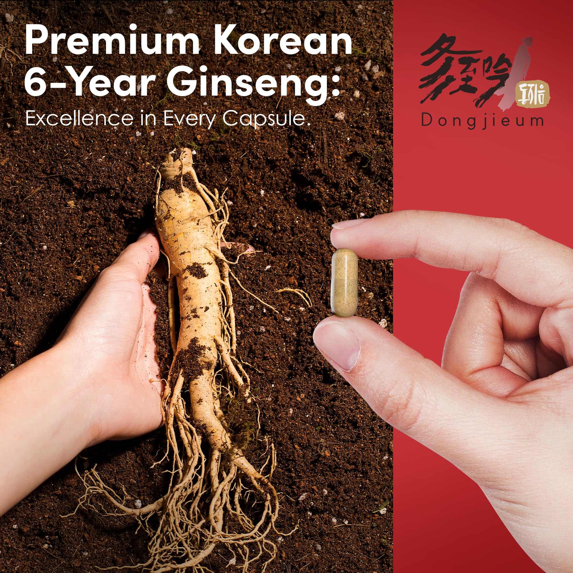 ginseng supplement for overall health