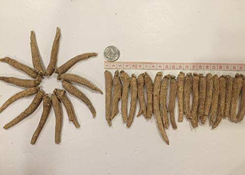 ginseng supplements for holistic health