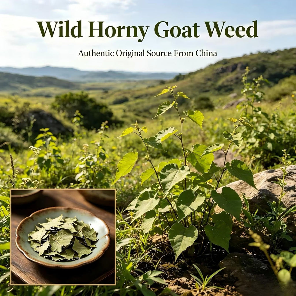 Ginseng tea for wellness support