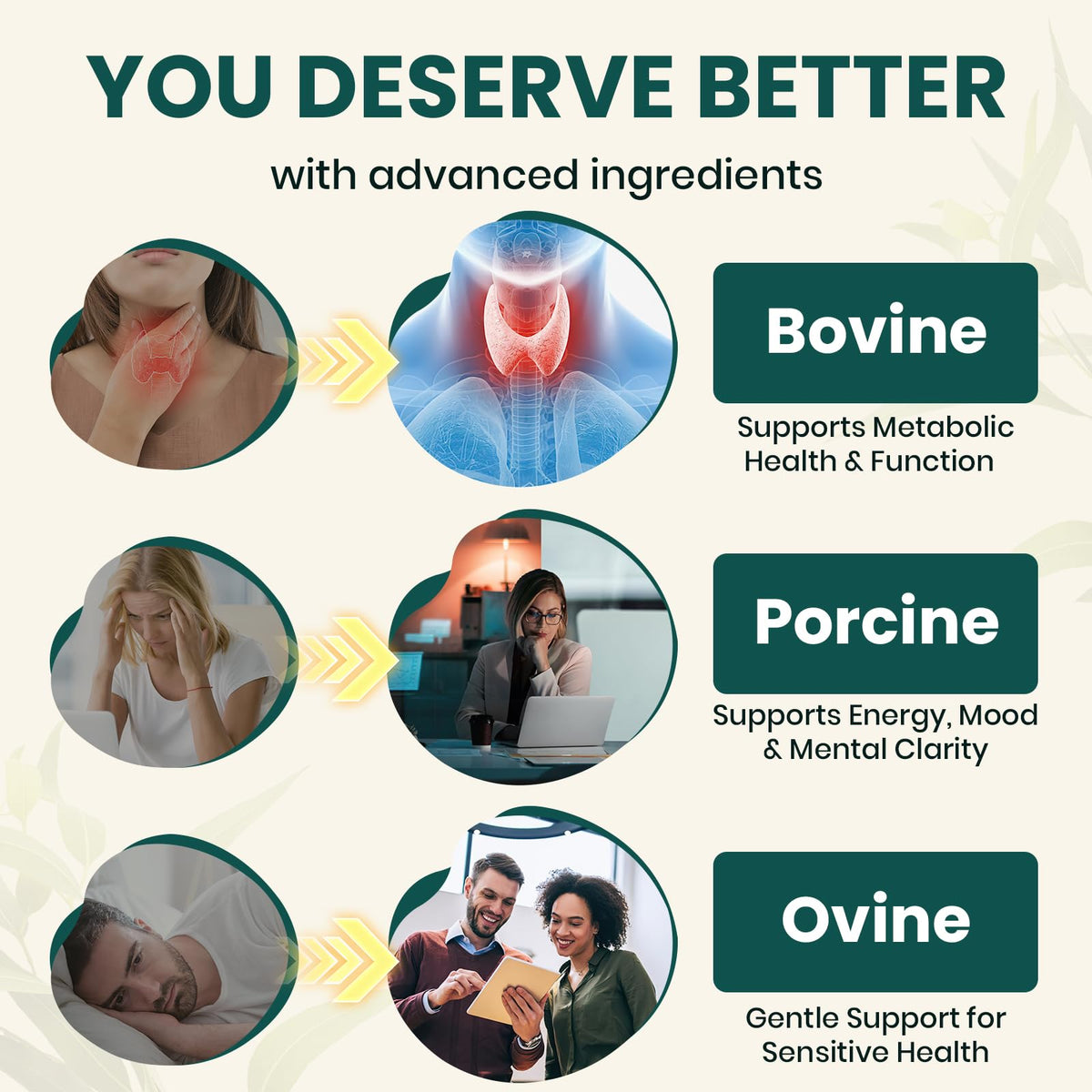 glandular health with TriDexThyro
