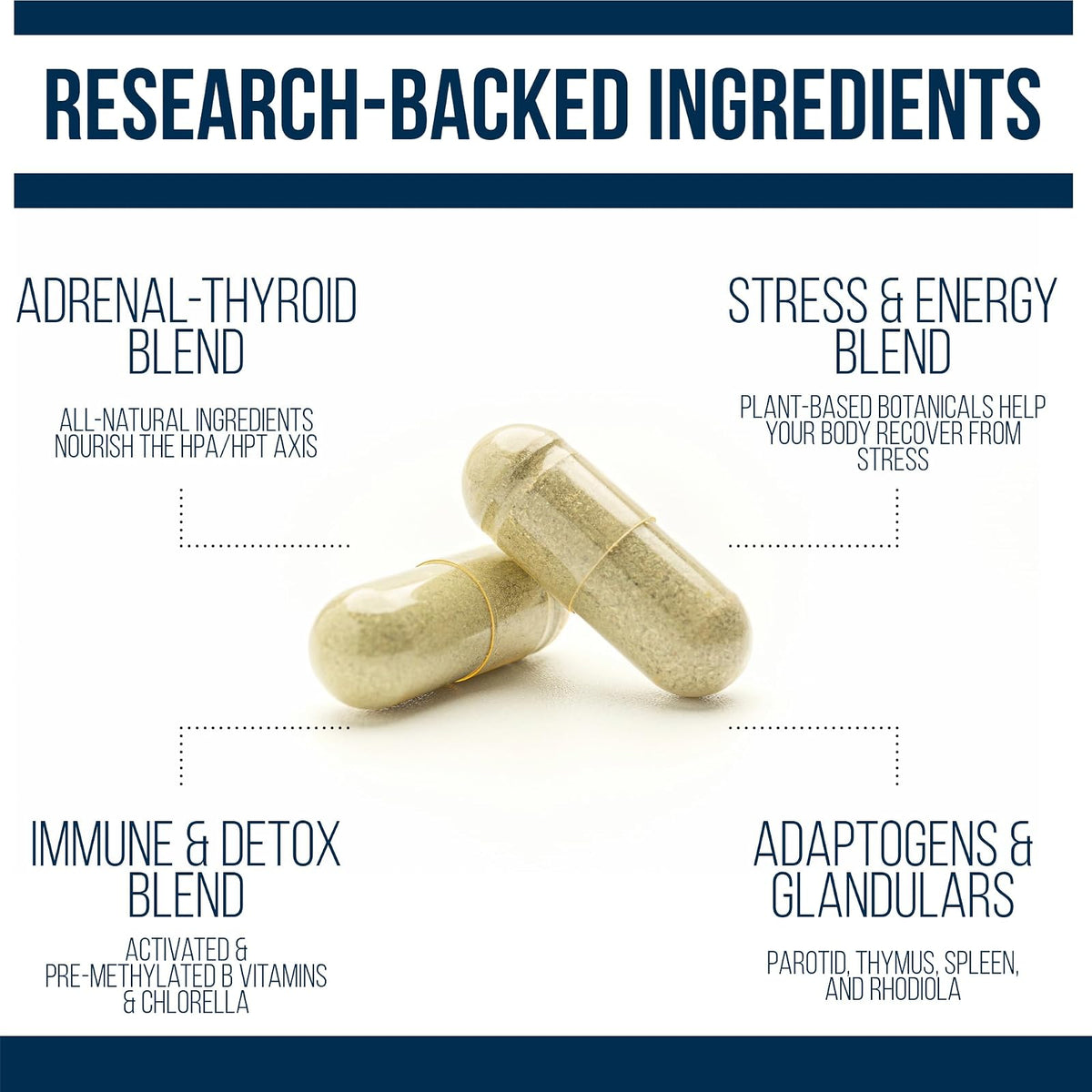 glandulars for adrenal health support