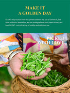 GLDNT organic green tea benefits