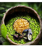 Gleditsia Sinensis for soothing herbal infusions