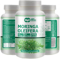Glorenda moringa capsules for wellness