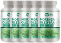 Glorenda moringa capsules for wellness