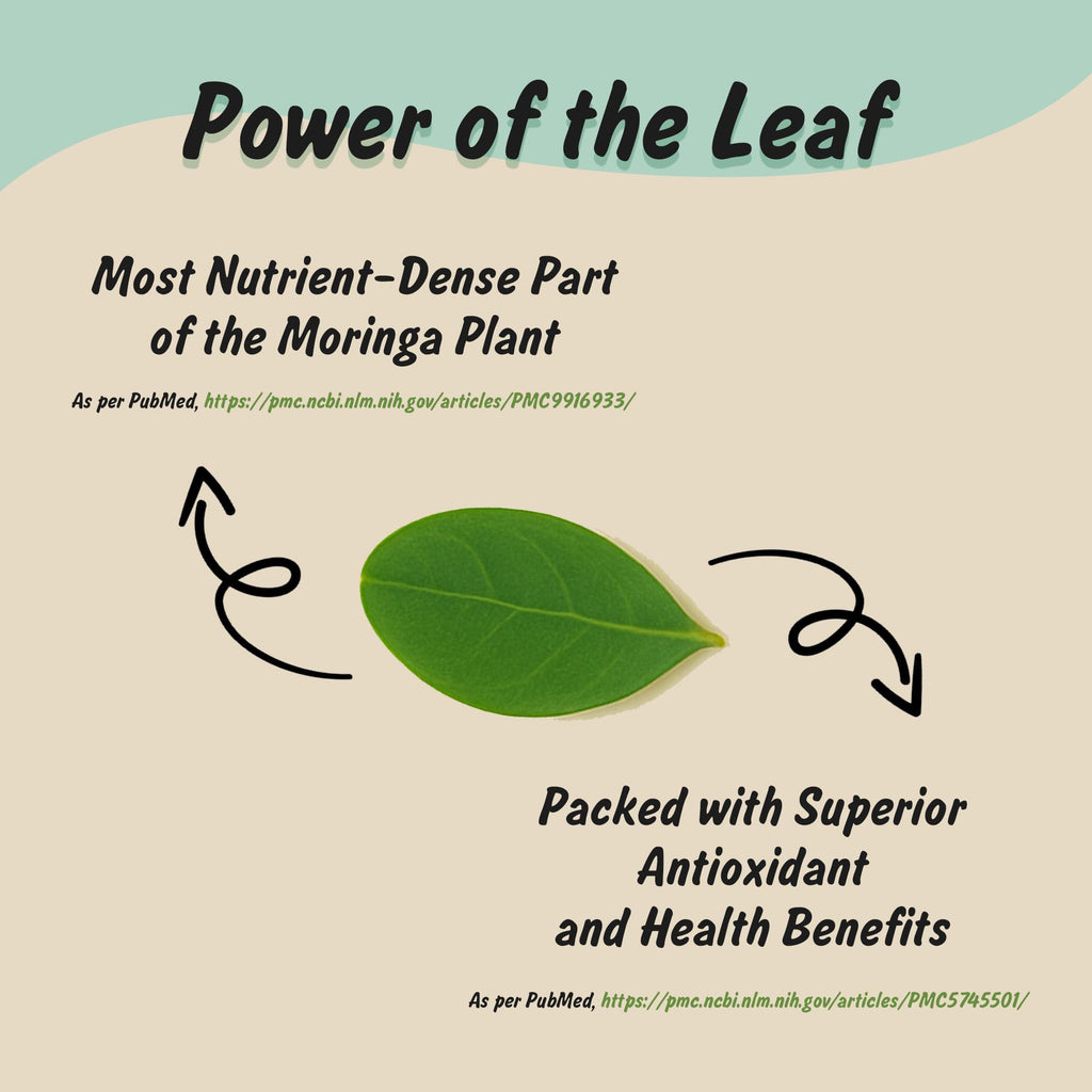 Glorenda moringa for daily nutrition