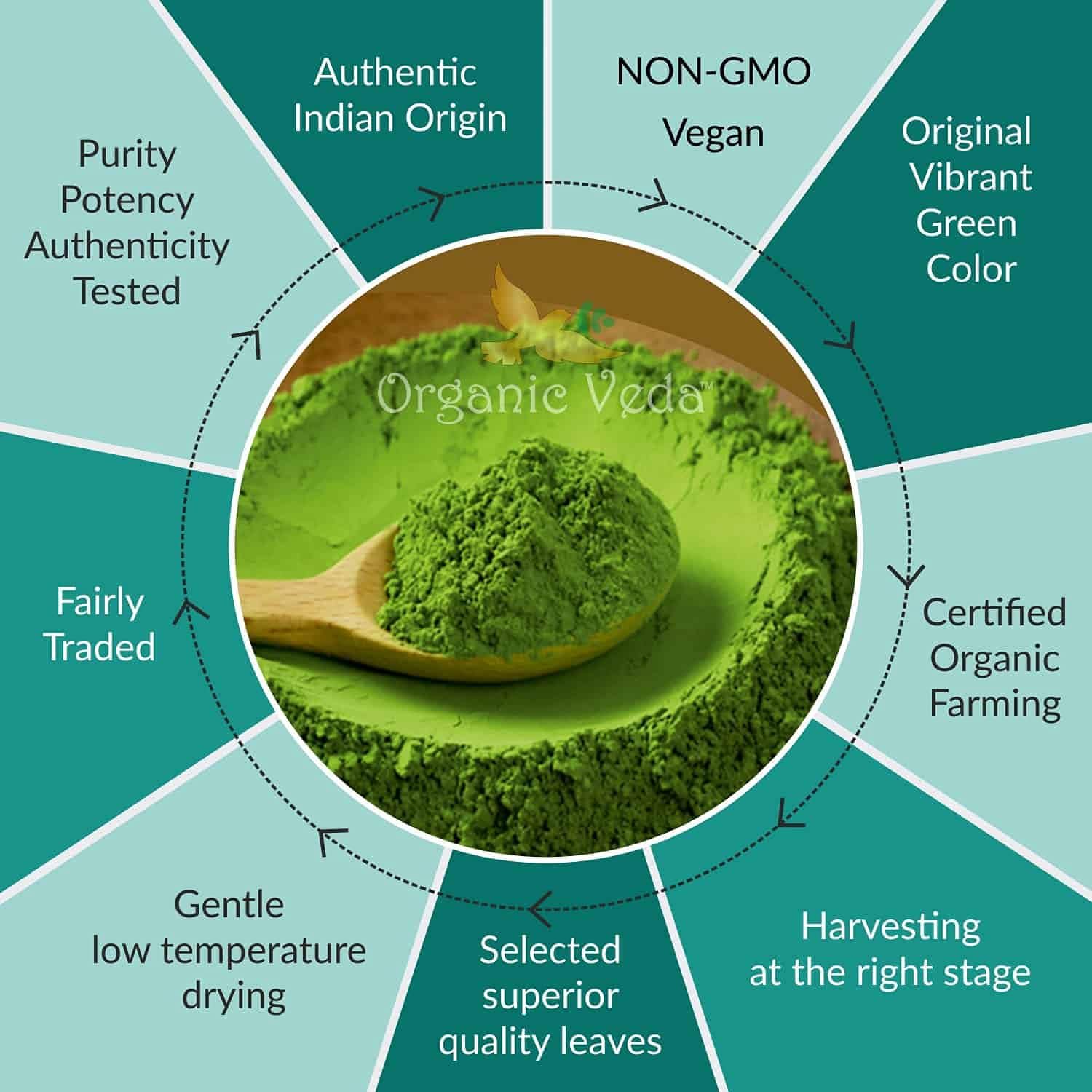 Glorenda moringa for healthy digestion
