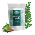 Glorenda moringa powder for smoothies