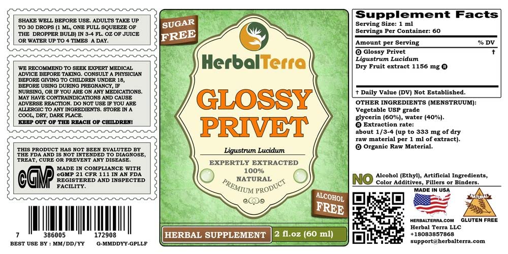 Glossy Privet echinacea glycerite benefits