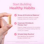 GlowTrue herbal wellness Ashwagandha