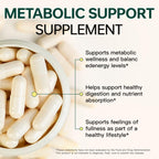 GLP-1 capsules for healthy digestion
