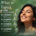 GLP-1 supplement for balanced appetite