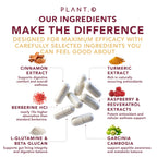GLP-1 supplement to curb hunger naturally