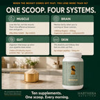 GLP-1 support protein powder