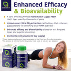 GlucodOX AMPK activator for metabolic health