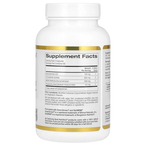 glucosamine and chondroitin supplement
