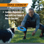 Glucosamine and magnesium supplement benefits