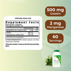 Glucosamine capsules for mobility