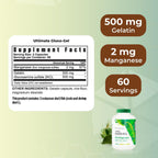 Glucosamine capsules for mobility