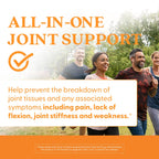 glucosamine chondroitin for active lifestyle