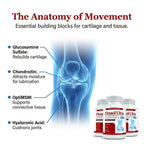 glucosamine chondroitin for active lifestyle