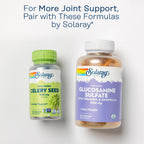 glucosamine chondroitin for active lifestyles