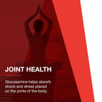 glucosamine chondroitin for active lifestyles