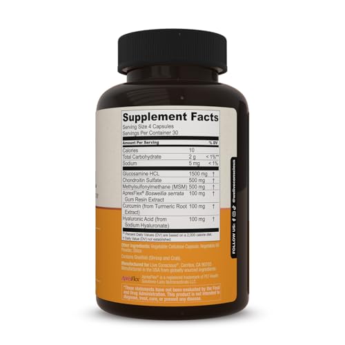 glucosamine chondroitin for mobility support