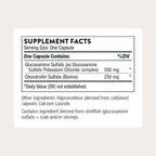 glucosamine chondroitin formula for mobility
