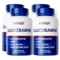 glucosamine chondroitin joint health support