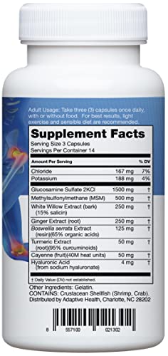 glucosamine chondroitin msm benefits