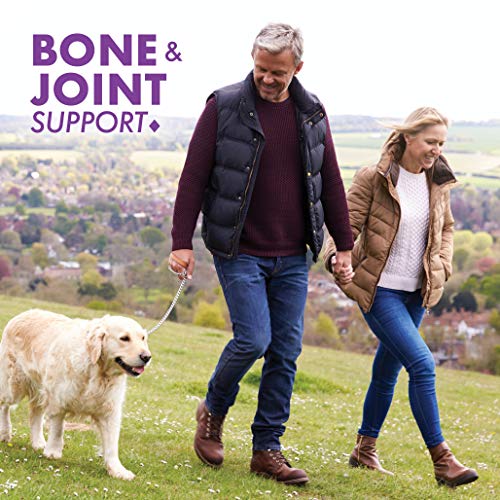 glucosamine chondroitin msm capsules