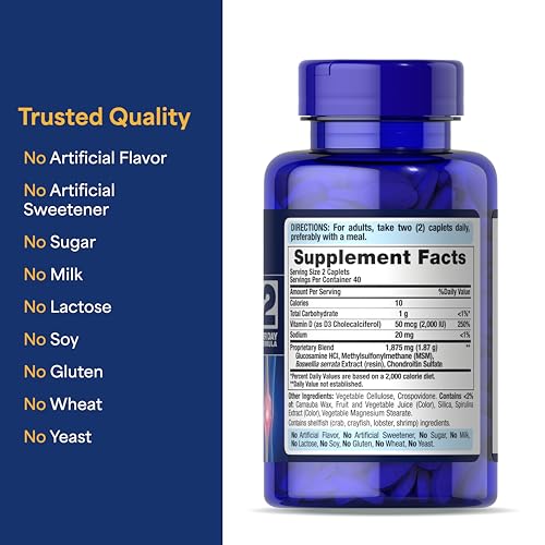glucosamine chondroitin msm for active lifestyle