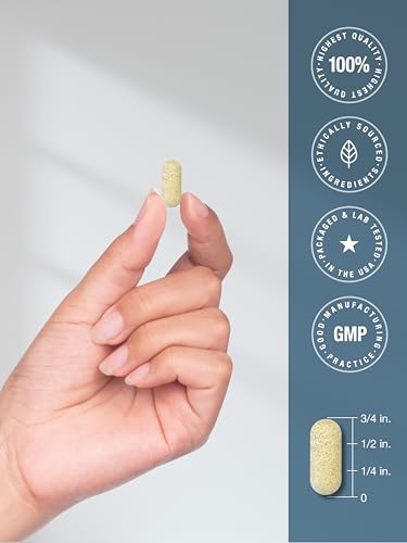 glucosamine chondroitin MSM for active lifestyle
