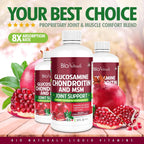 glucosamine chondroitin msm for active lifestyle