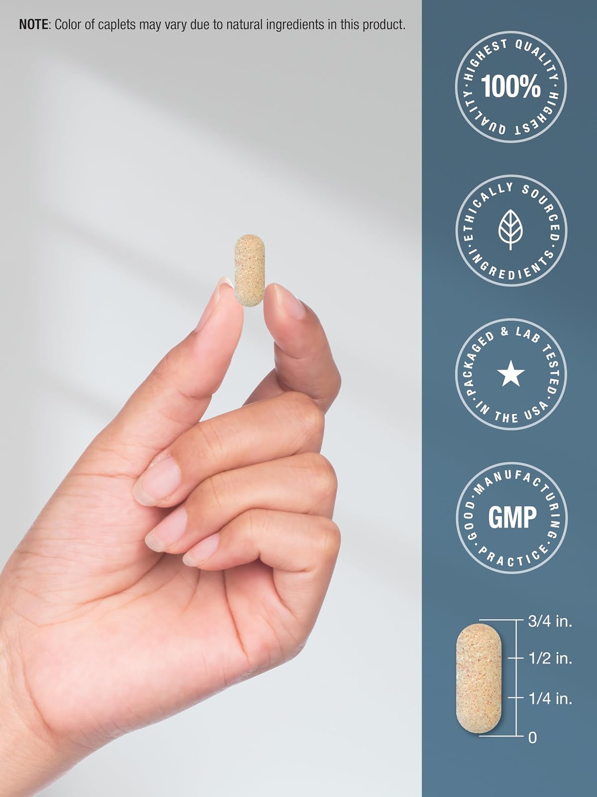glucosamine chondroitin msm for active lifestyle