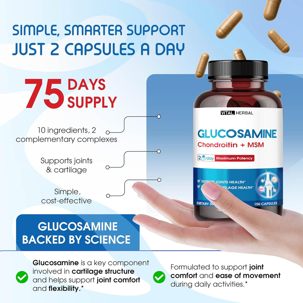 glucosamine chondroitin msm for active lifestyle