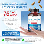 glucosamine chondroitin msm for active lifestyle