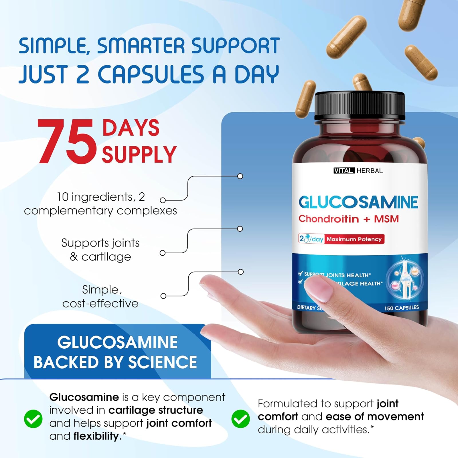 glucosamine chondroitin msm for active lifestyle