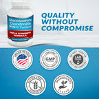glucosamine chondroitin MSM for daily wellness