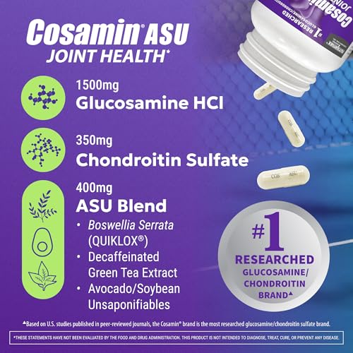 glucosamine chondroitin MSM for joint support