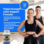 glucosamine chondroitin MSM for mobility