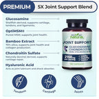 glucosamine chondroitin msm for mobility