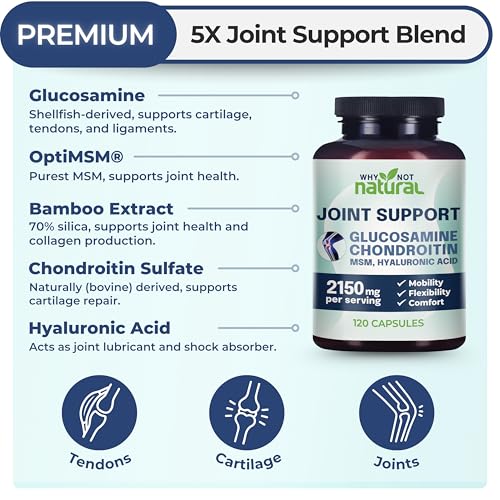 glucosamine chondroitin msm for mobility