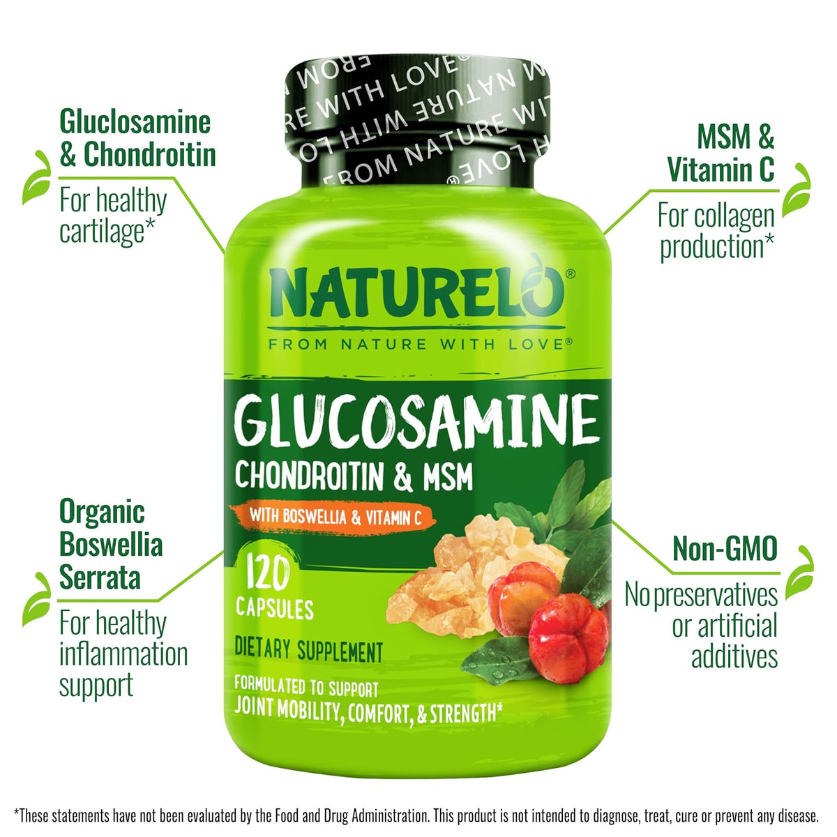 glucosamine chondroitin MSM for mobility
