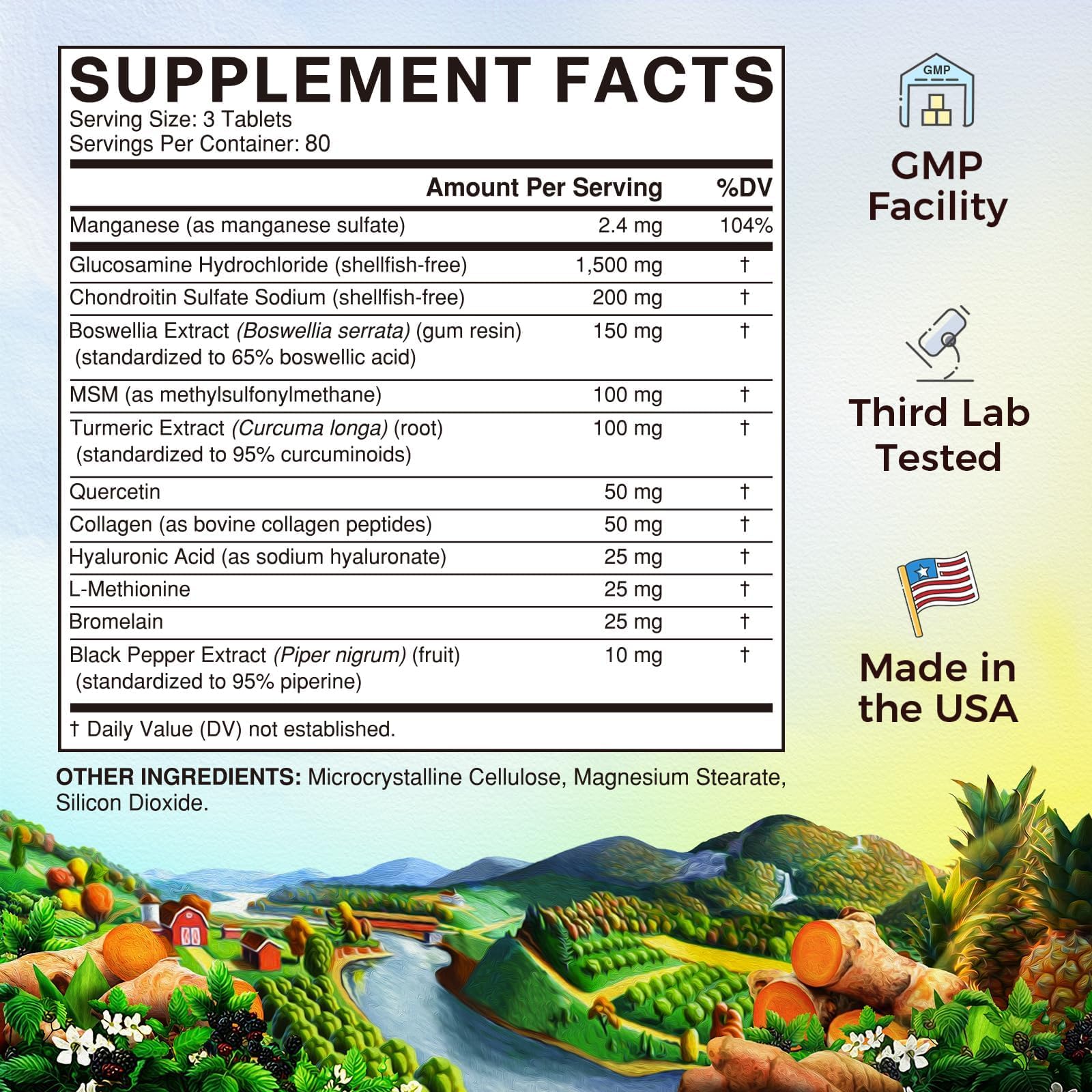 glucosamine chondroitin msm for mobility