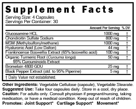 glucosamine chondroitin MSM for mobility
