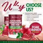 glucosamine chondroitin msm for mobility
